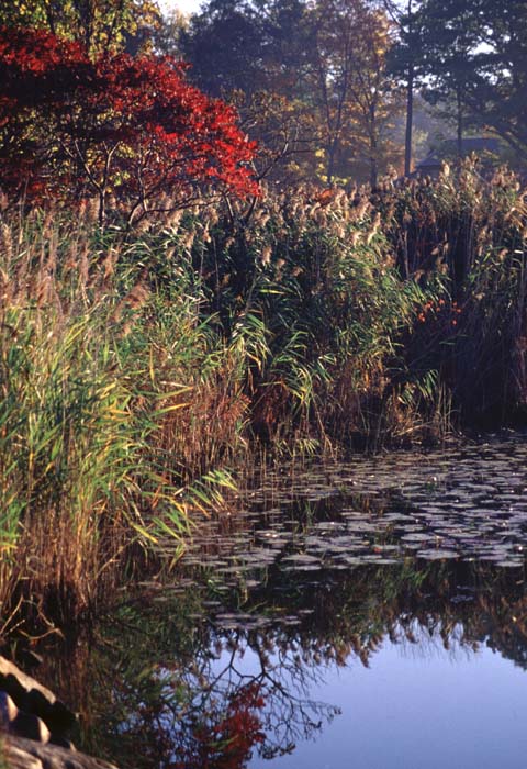Photographs of Stockbridge Bowl by J. Stevens Blanchard